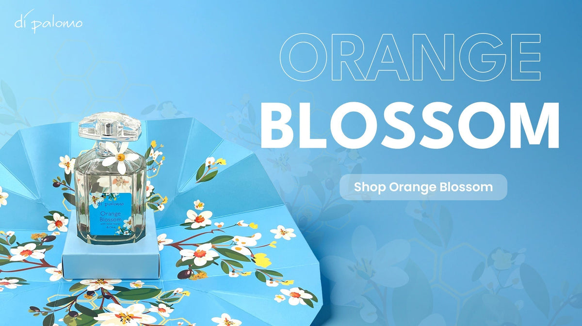 Boost Your Retail Offering with Di Palomo’s Orange Blossom Collection ...