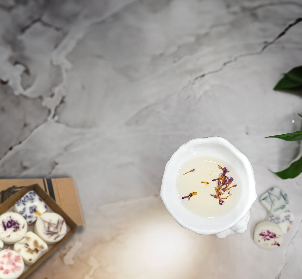 Naked Cello Collection – Page 2 – xystostrade