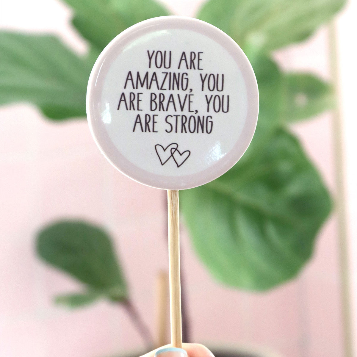 Splosh - Plant Message - Strong – xystostrade
