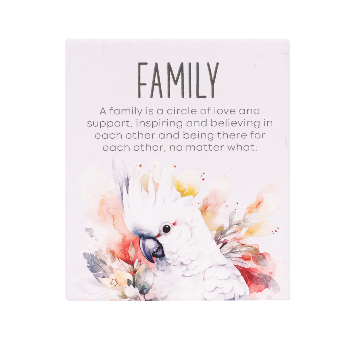 Splosh - Native Blooms Verse - Family – xystostrade