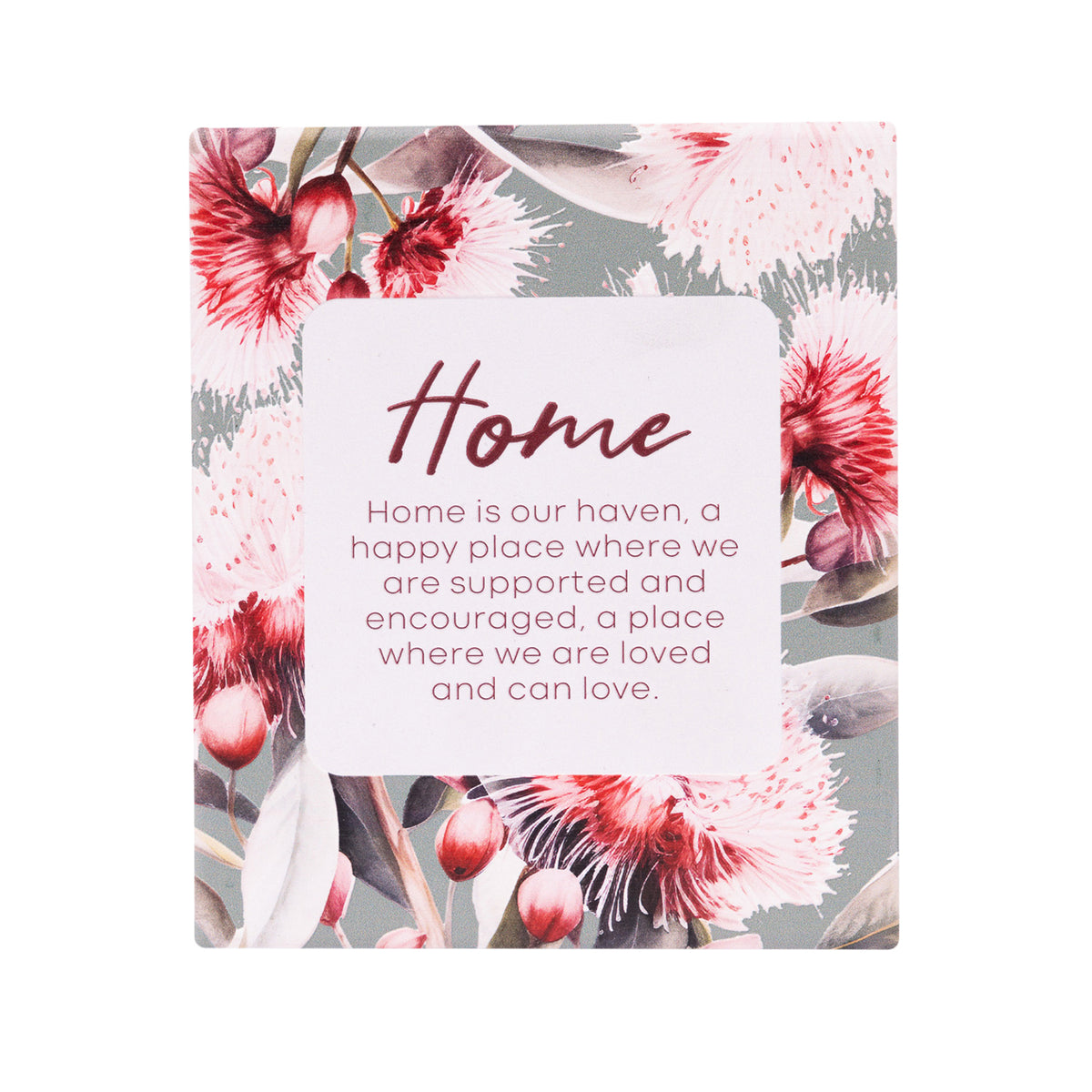 Splosh - Native Blooms Verse - Home – xystostrade