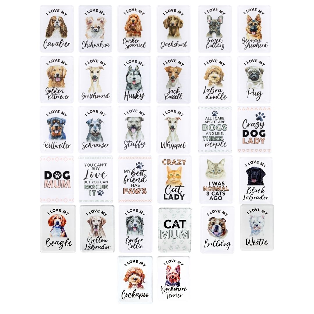 Splosh - Pet Magnets Pack – xystostrade